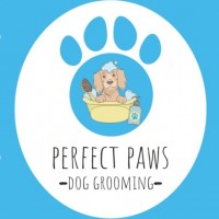 Perfect Paws Dog Grooming - ModiinApp